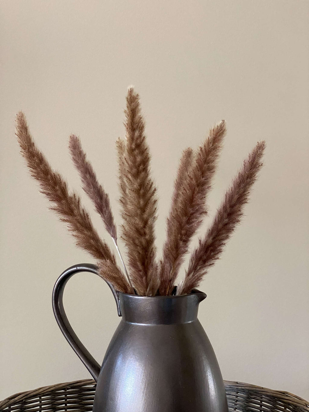 Small Pampas Grass – Elegant Dried Décor for Any Space